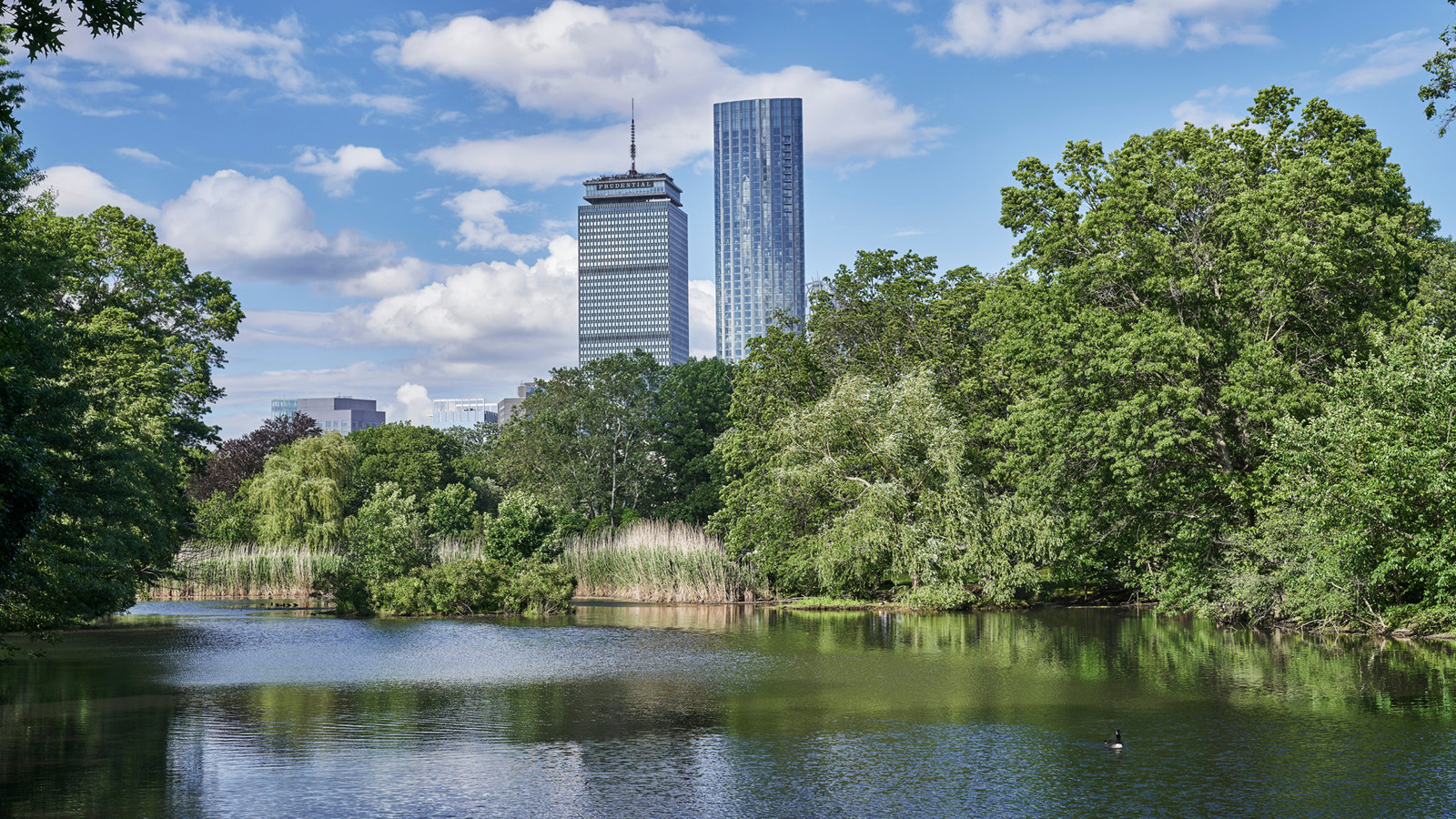 Four Seasons tiene la guía definitiva de qué hacer este verano en ...