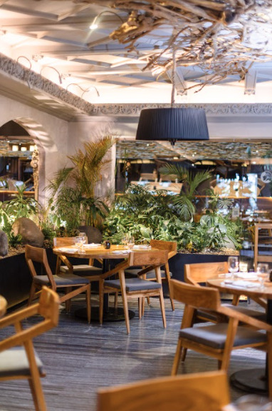 Nobu, el restaurante que no te debes perder si eres amante de la cocina ...